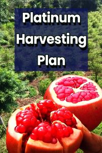 Platinum Harvesting Plan – Green Eco Food Products (Private) Limited